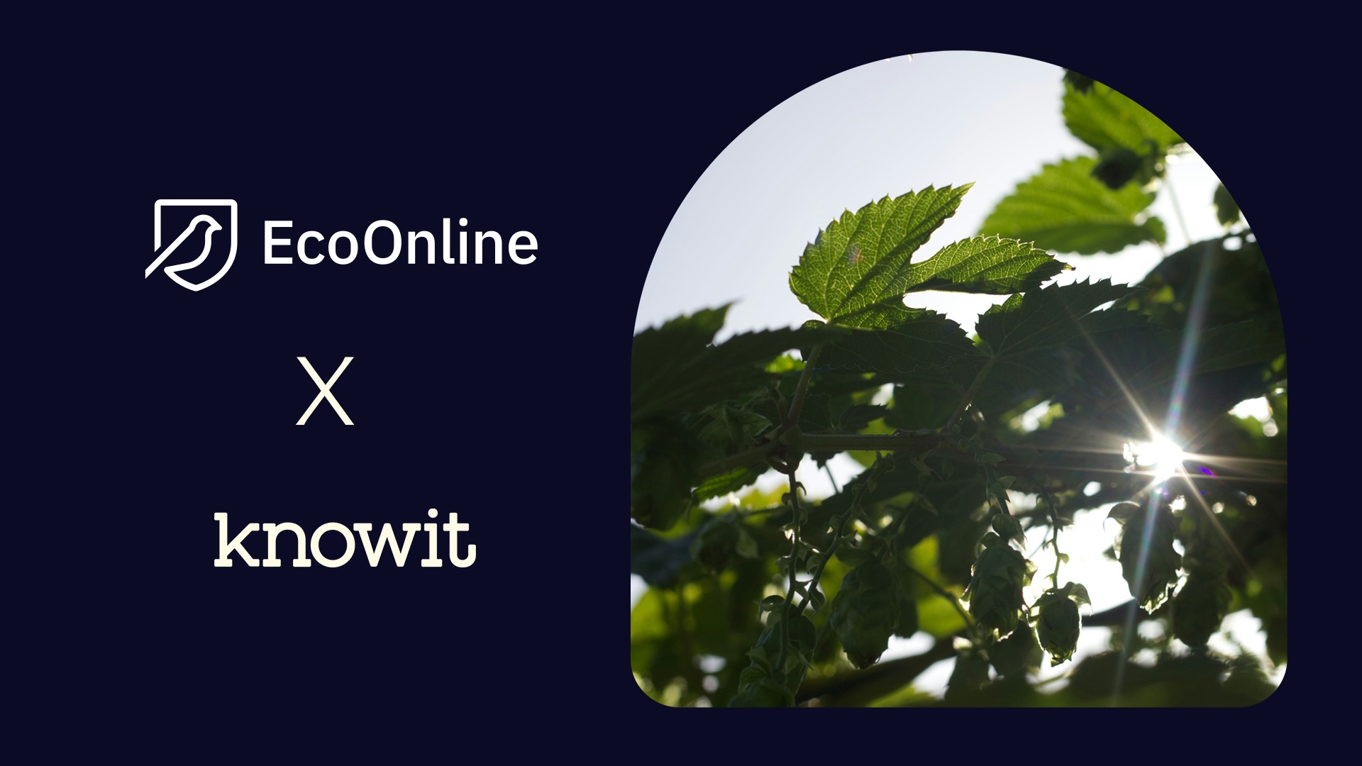 Knowit og EcoOnline inngår partnerskap